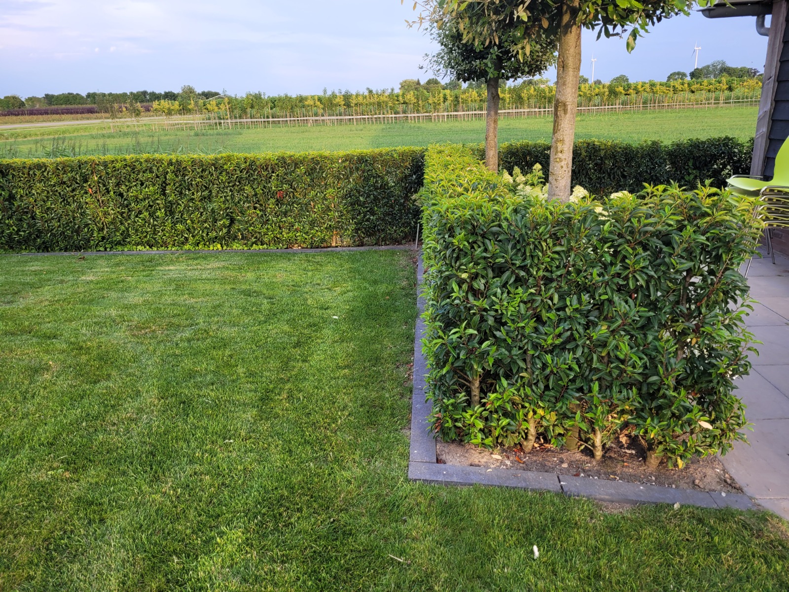 Coniferen kopen uit eigen kwekerij